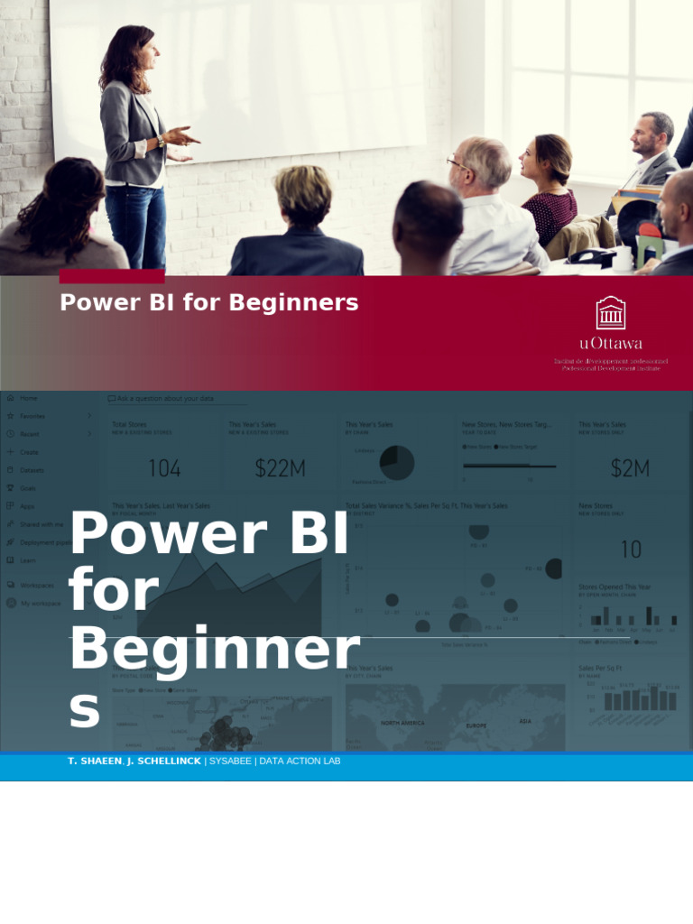 Power BI Basics for New Users | PDF | Microsoft Excel | Data