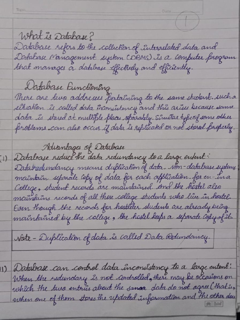 IT Project File | PDF | Information Technology Management | Databases