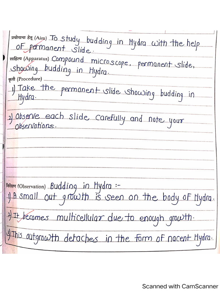 Hydra Practical | PDF