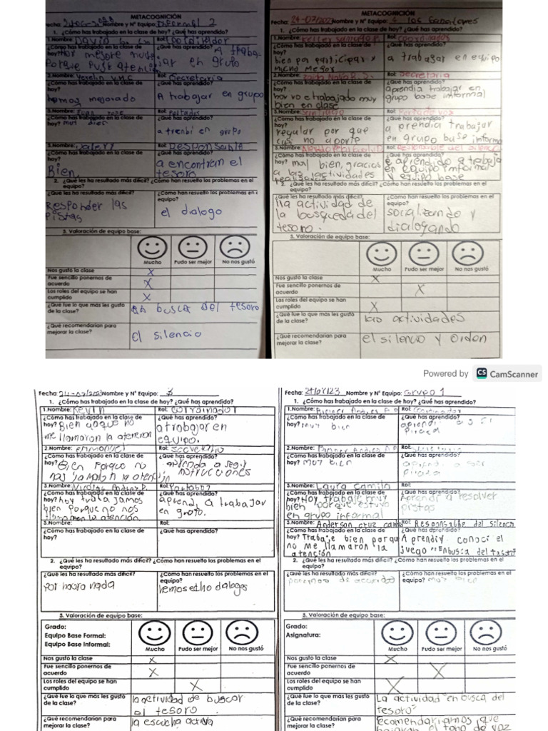 METACOGNICIÓN 24 DE julio clase FpN grado 501 | PDF