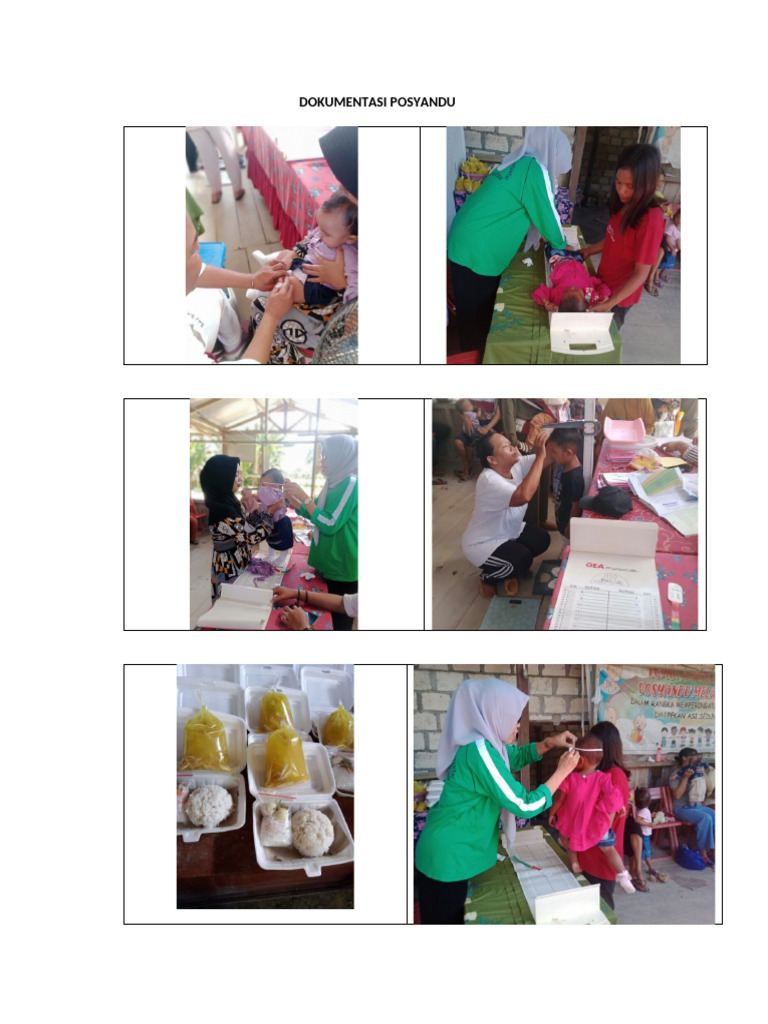 Dokumentasi Posyandu | PDF