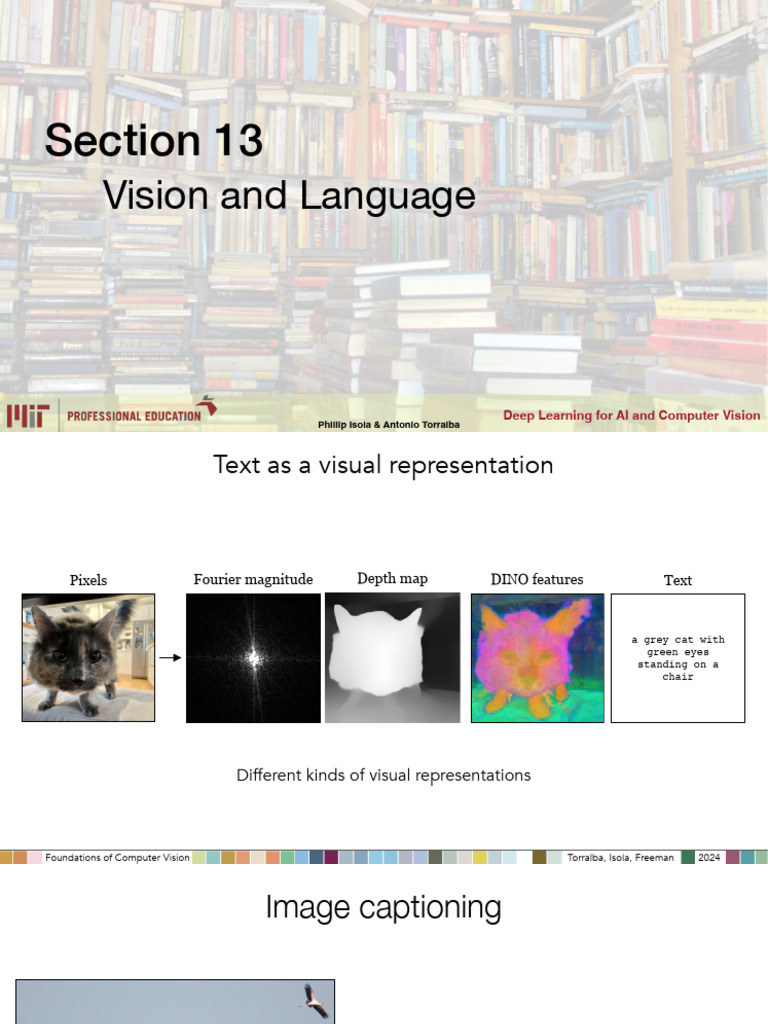 Language and Vision | PDF | Deep Learning | Computer Vision
