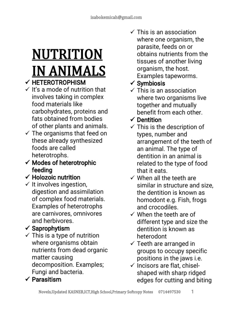 Nutrition in Animals - Biology | PDF