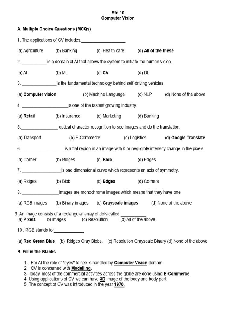 Std 10 Computer Vision | PDF | Pixel | Computer Vision
