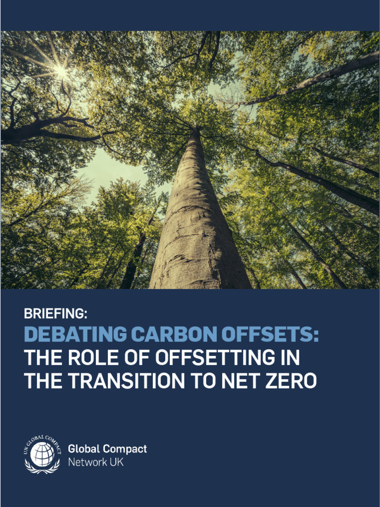 Carbon Offsets UN Report | PDF | Climate Change Mitigation | Climate Change