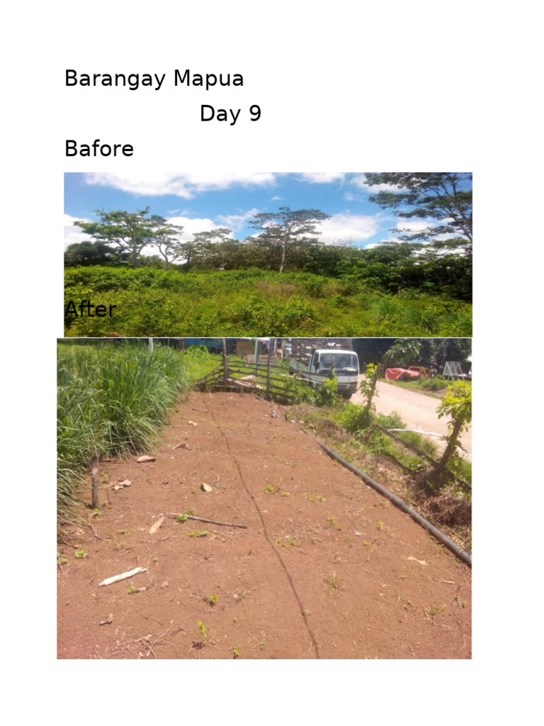 Barangay Mapua Day 9 Bafore | PDF