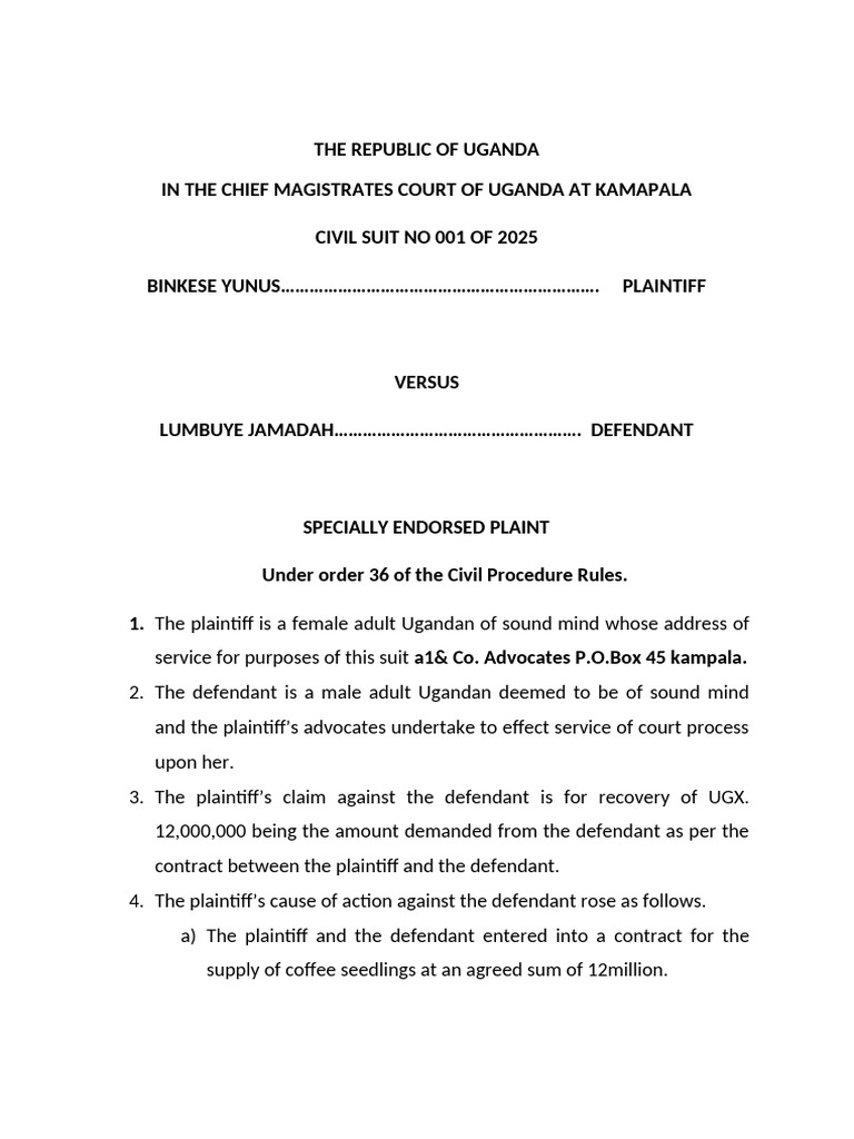 Specially Endorsed Plaint in Uganda | PDF | Lawsuit | Common Law