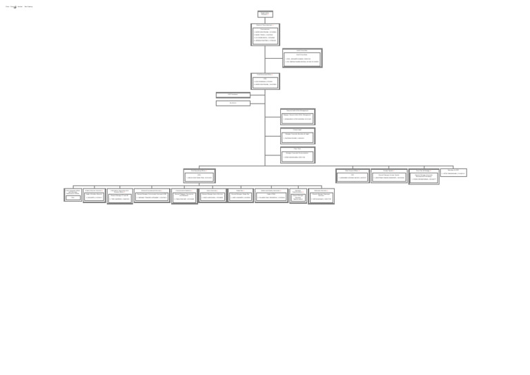 Organizational Tree | PDF | Corporations | Governance