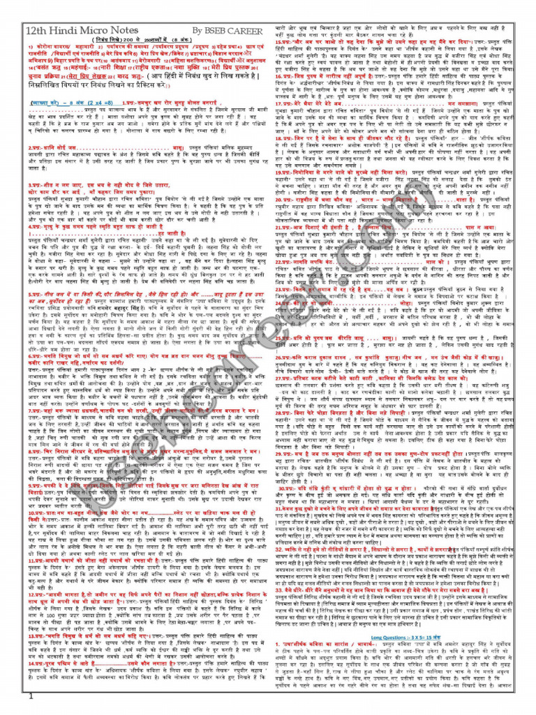 Hindi Final Micro Guess 2024 by BSEB CAREER | PDF