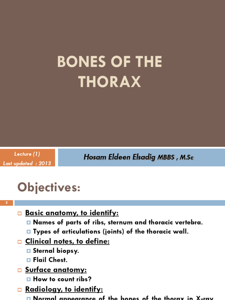 1._Bones_of_the_thorax | PDF | Thorax | Vertebra