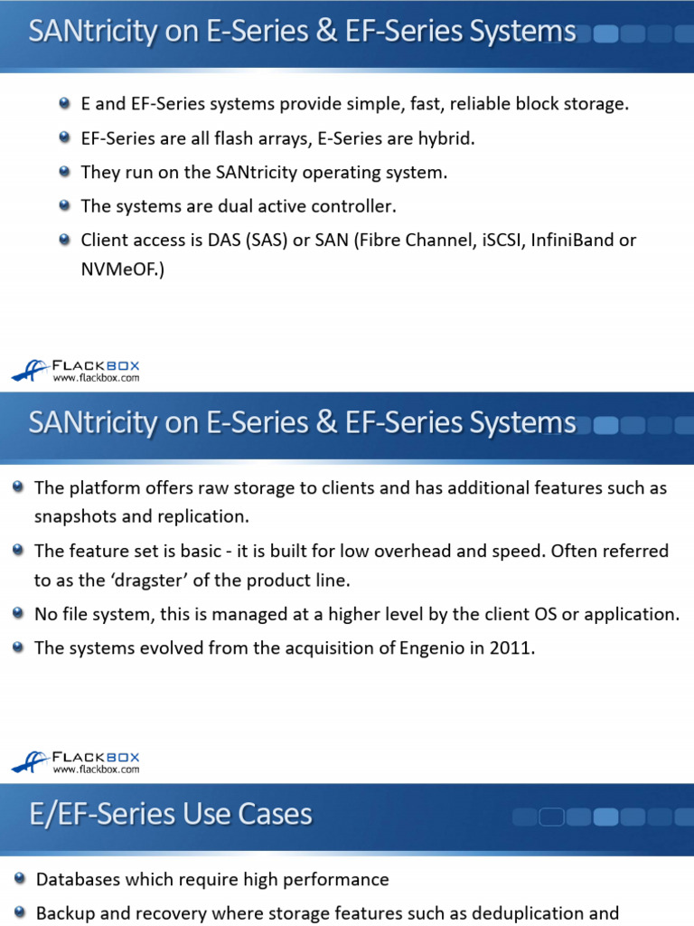 02-04 NetApp SANtricity Platforms - E-Series and EF-Series | PDF