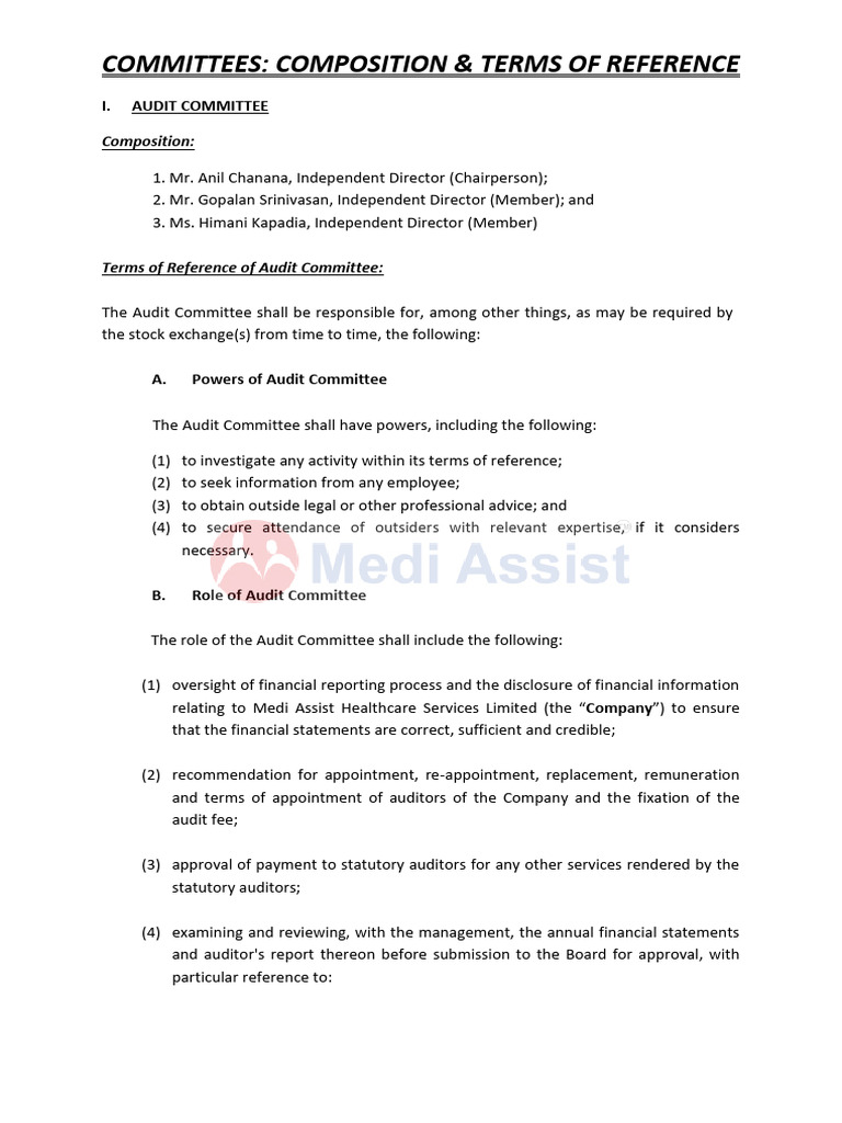 Audit & Remuneration Committees Overview | PDF | Audit Committee | Audit