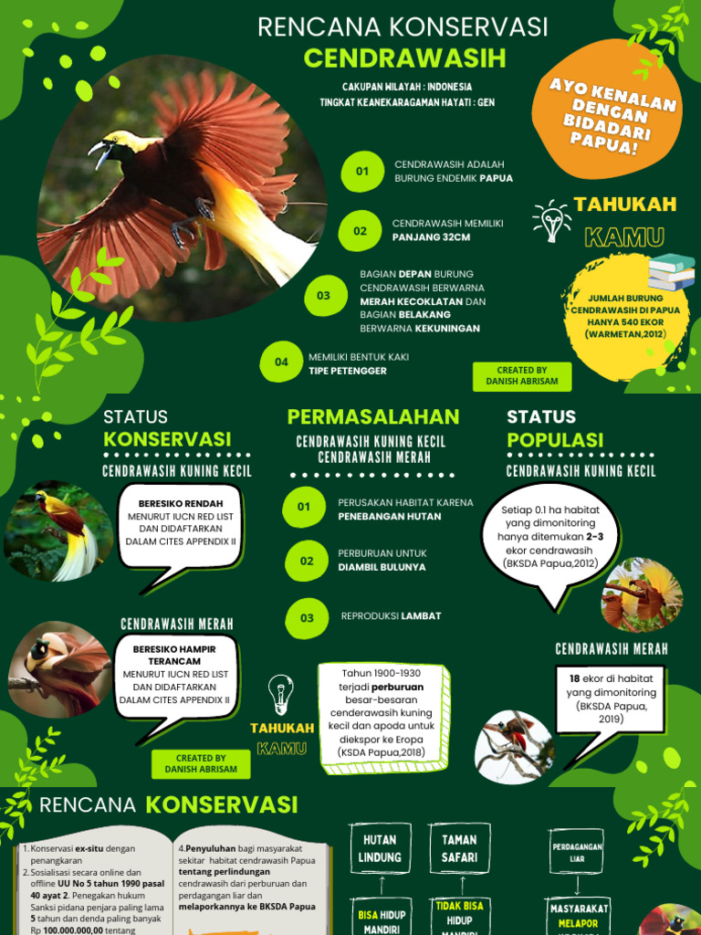 Infografis Rencana Konservasi Cendrawasih Danish Abrisam | PDF