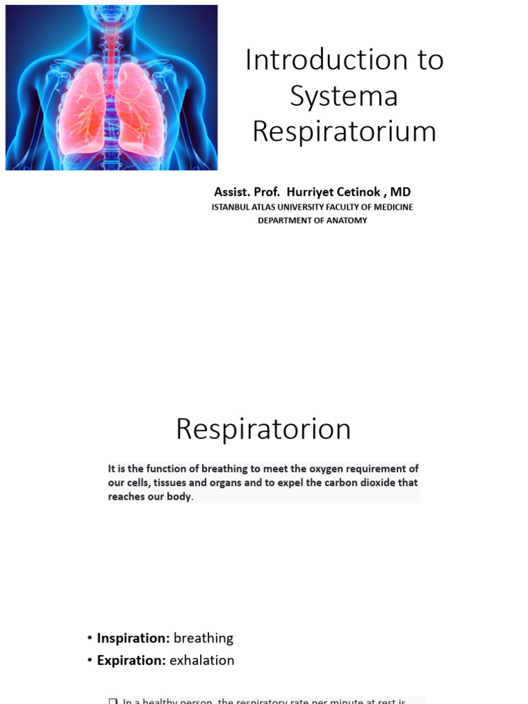 Introduction to Systema Respiratorium-25 | PDF | Respiratory System ...