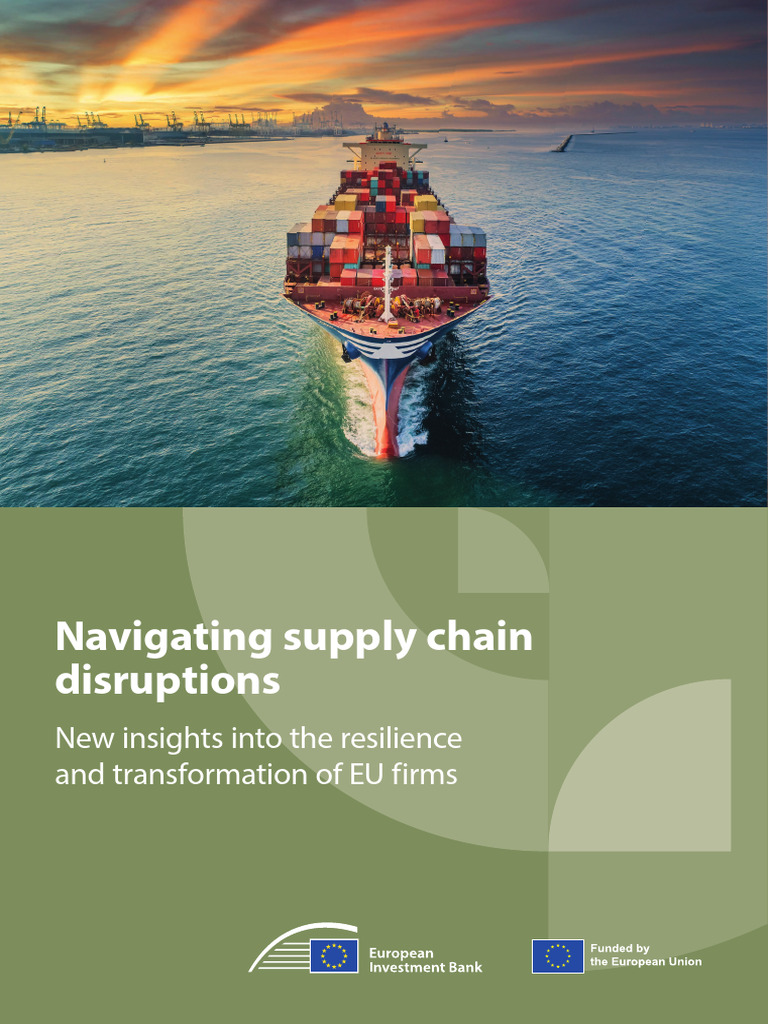 Navigating supply chain | PDF | Supply Chain | Globalization