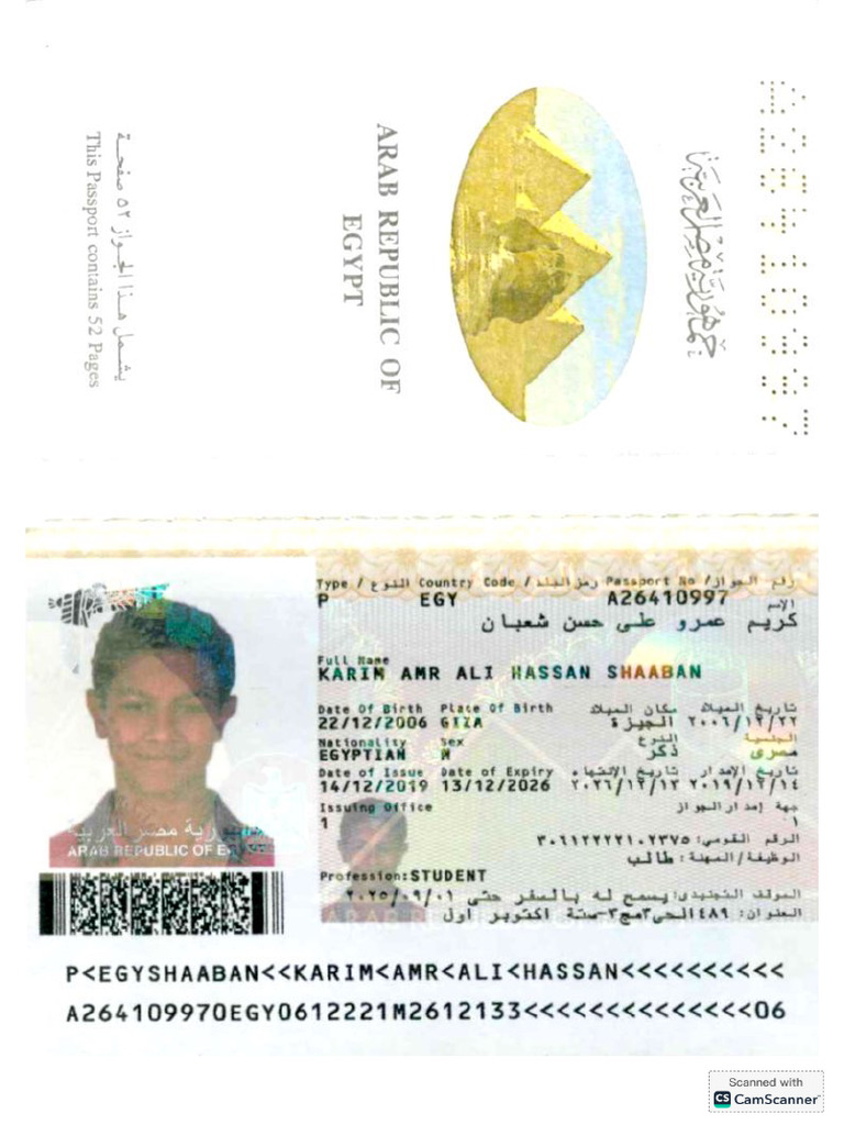 KARIM SHAABAN (7) | PDF | Insurance | Travel Visa