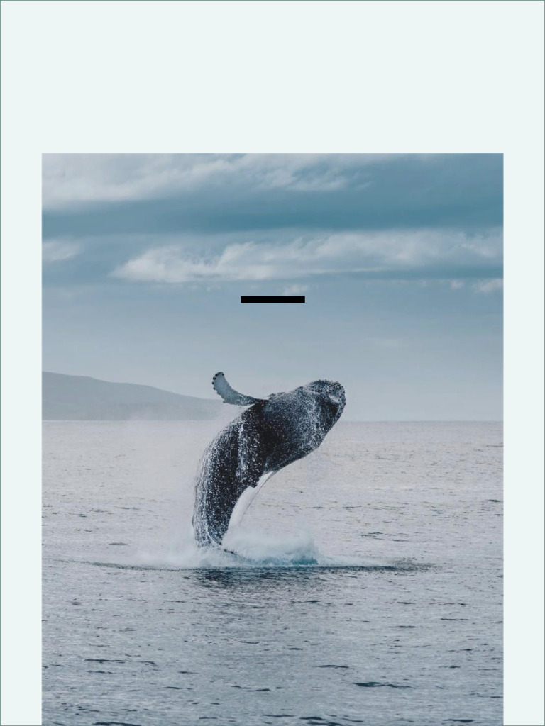 The Power of Curiosity | PDF | Curiosity | Learning