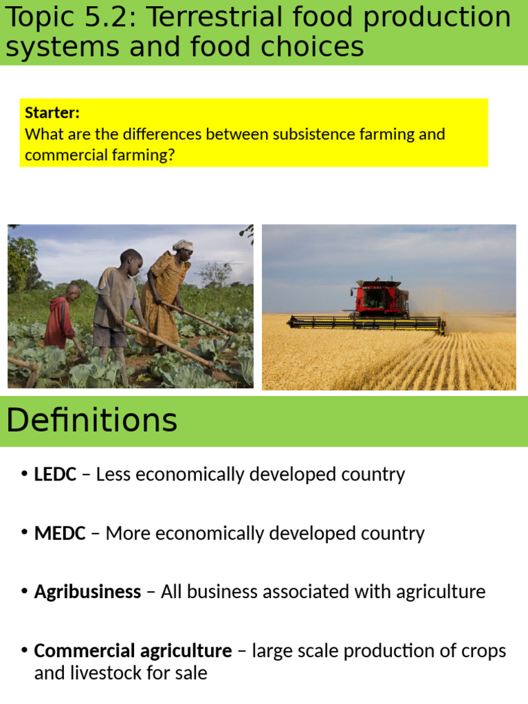 Sustainable Food Production Systems | PDF | Agriculture | Intensive Farming
