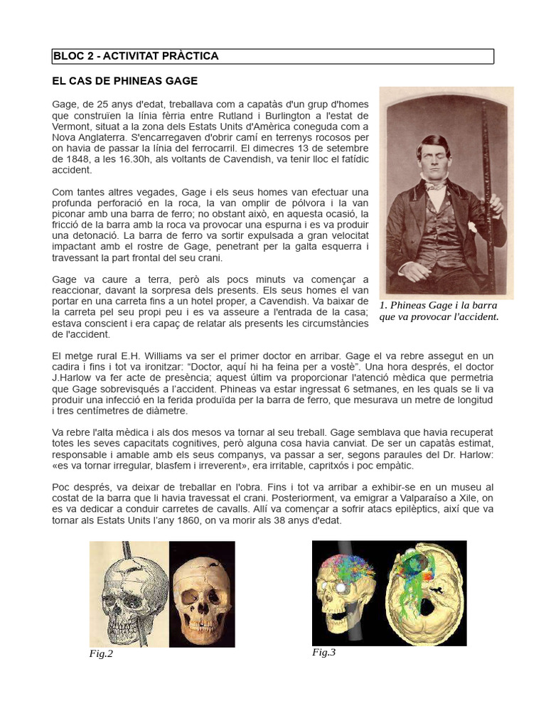 Act. Pràctica Phineas Gage (2) | PDF