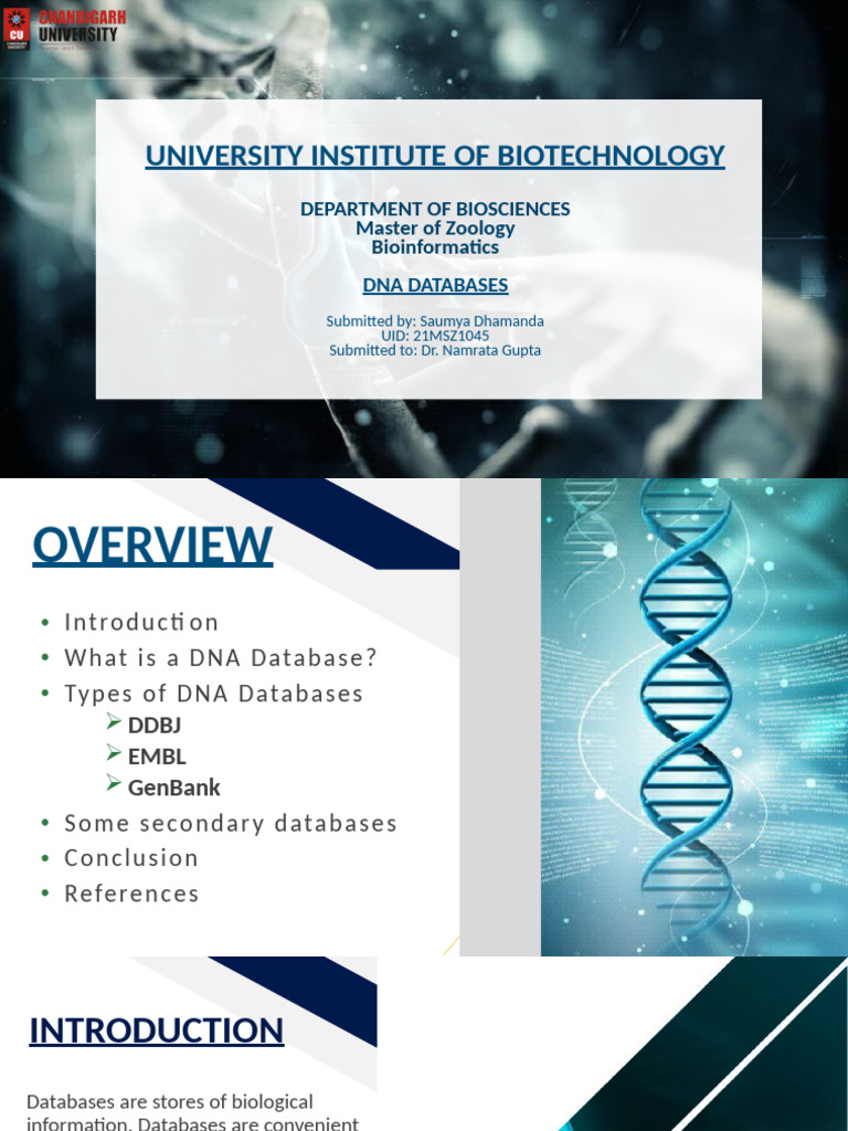 DNA Databases | PDF | Gen Bank | Bioinformatics