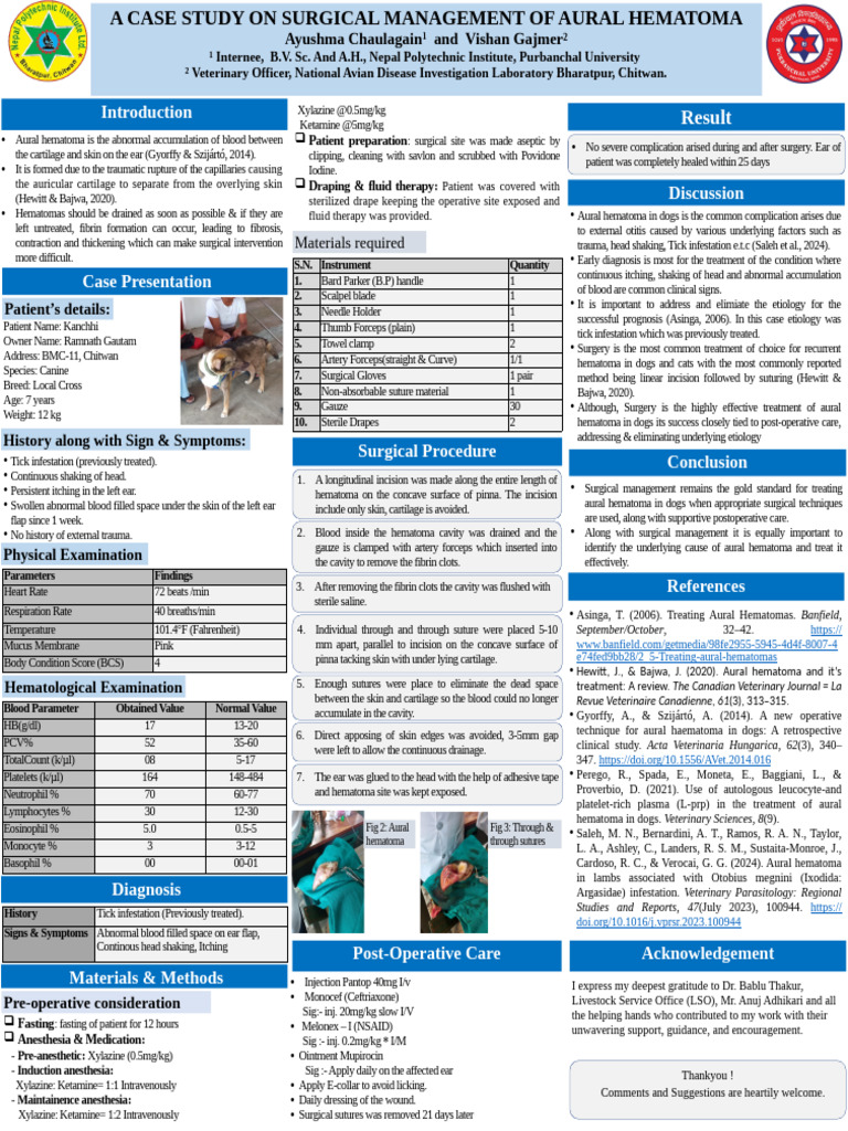 Ayushma Case Poster | PDF | Surgery | Surgical Suture