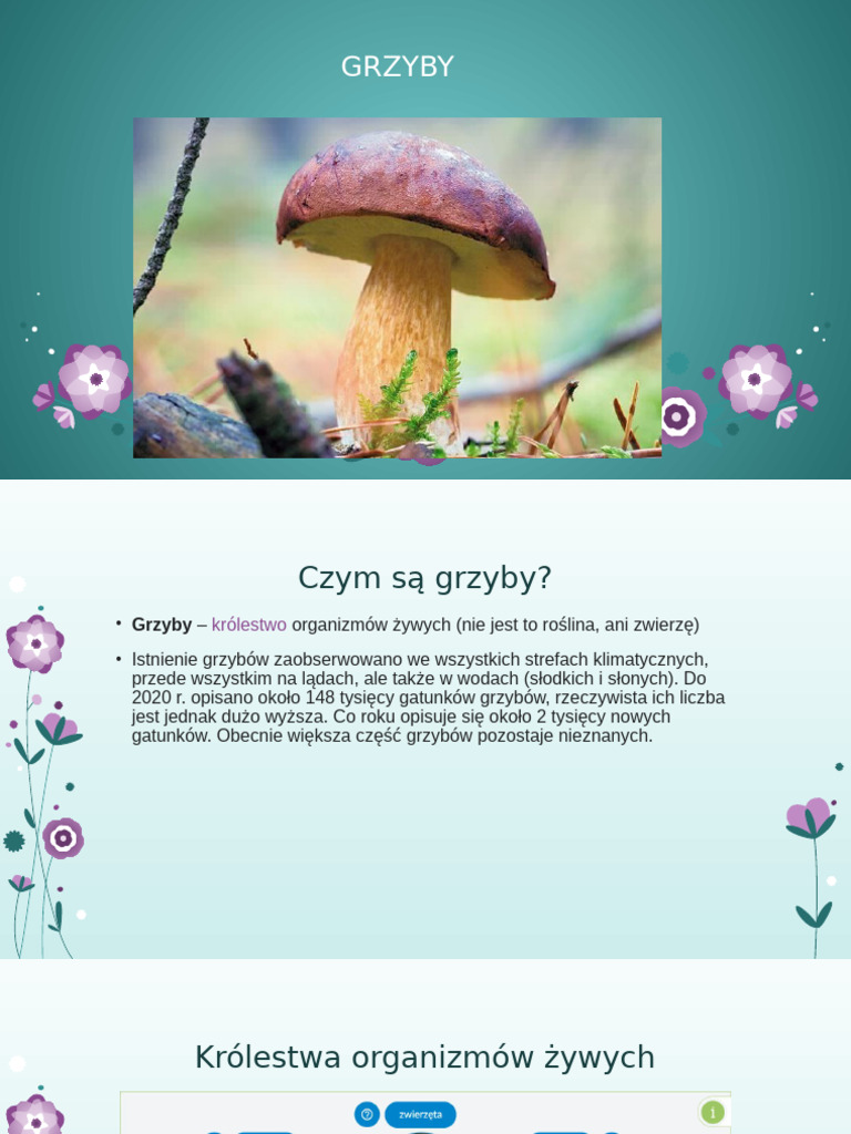 Grzyby | PDF