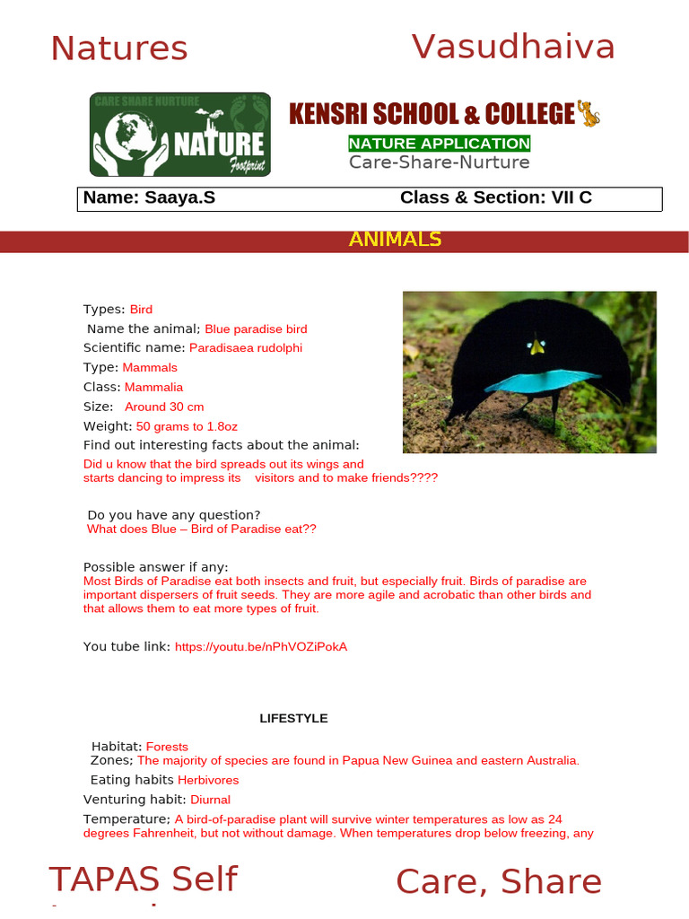 Saaya_Animal_appl_(Bird) | PDF | Birds | Biodiversity