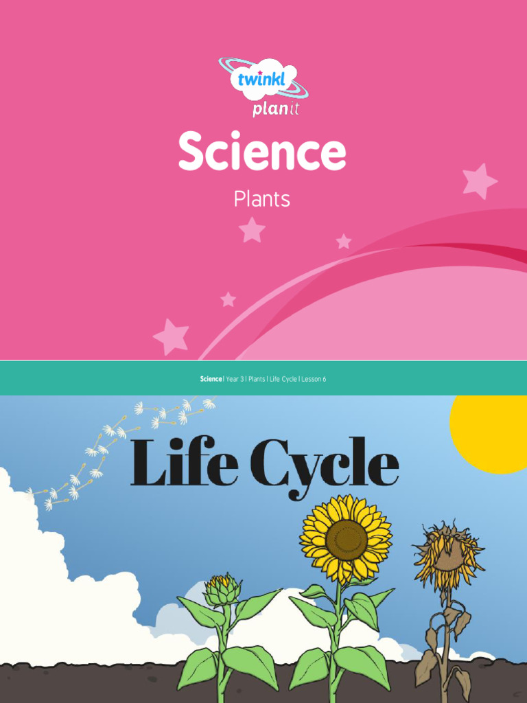Plant Life Cycle Powerpoint | PDF
