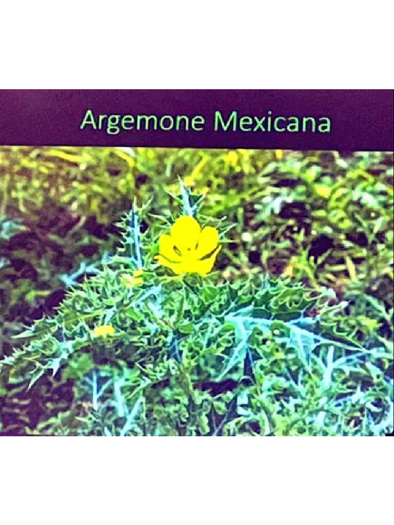 Fmt Spotters 3 | PDF