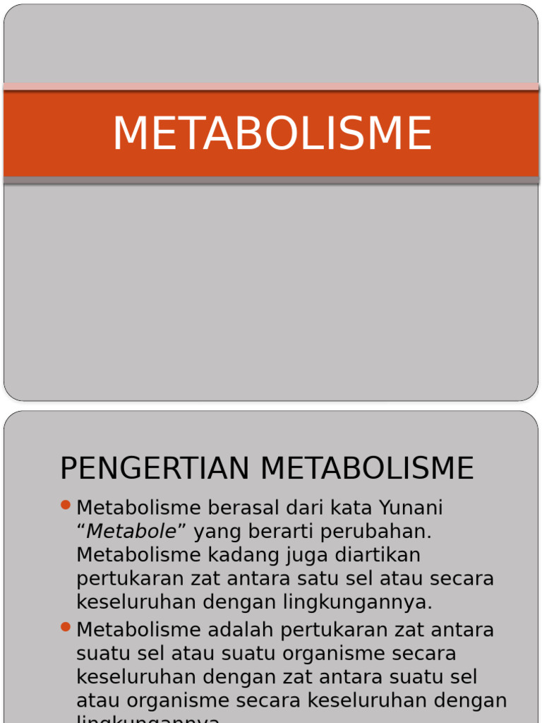 Enzim Dan Metabolisme 1 | PDF