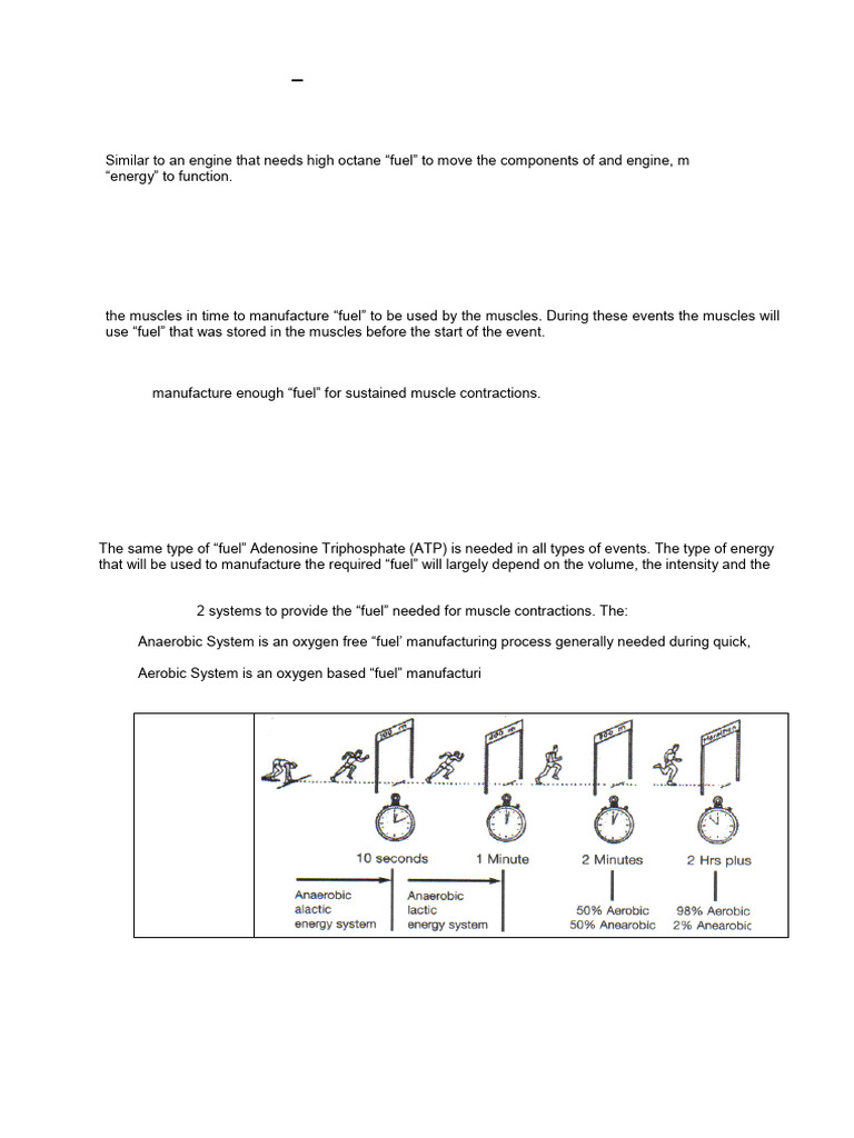 Muscle Energy Production Explained | PDF | Cellular Respiration ...