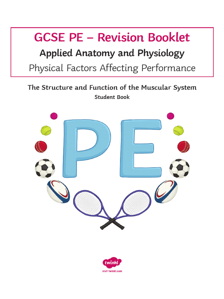 Muscular System for GCSE PE Revision | PDF | Anatomical Terms Of Motion ...