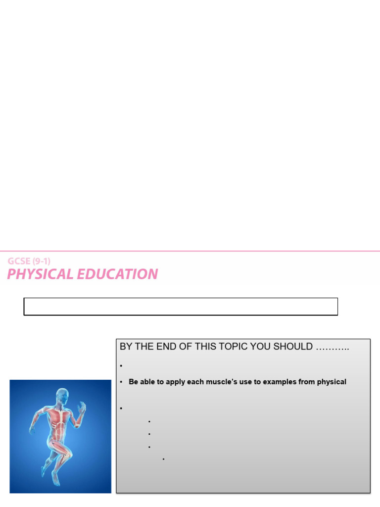 GCSE PE: Muscular System Guide | PDF | Anatomical Terms Of Motion ...