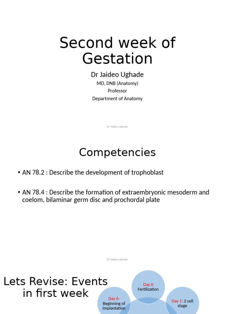 Second Week Development | PDF | Morphology (Biology) | Reproduction