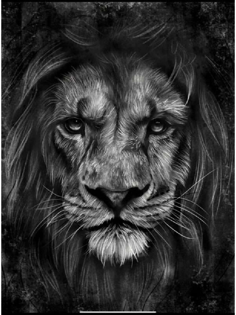 Lion | PDF