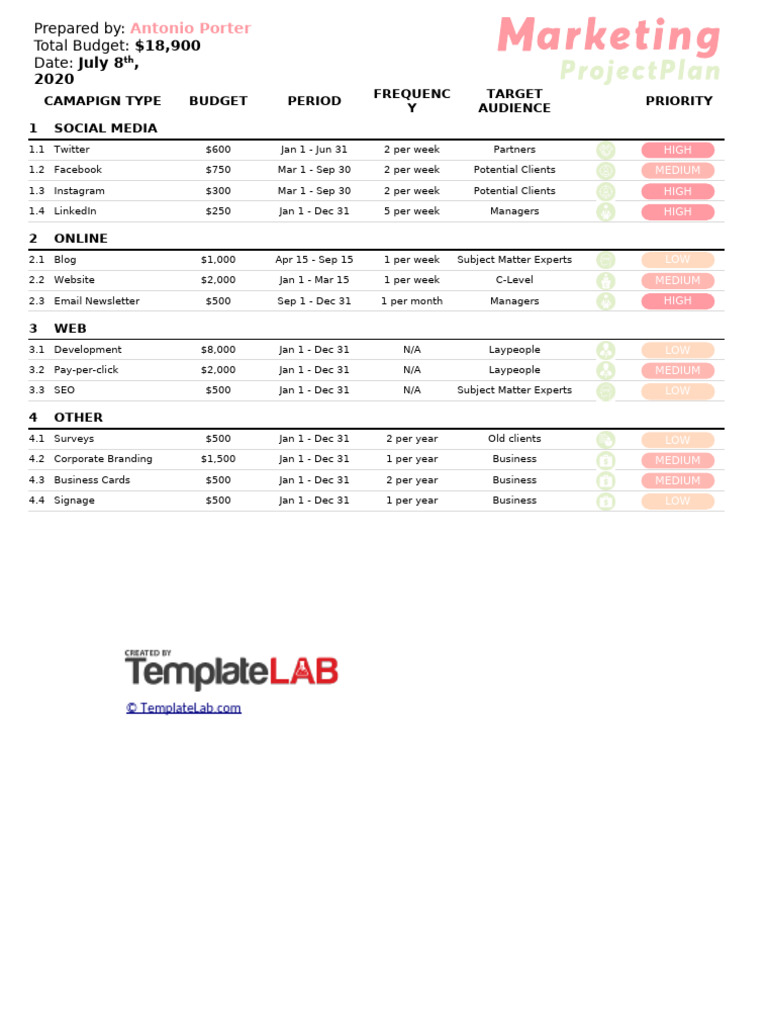 Marketing-Project-Plan-Template-TemplateLab.com_ | PDF