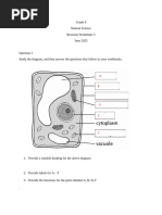 Grade 9 Digestive System Overview | PDF | Digestion | Human Digestive ...