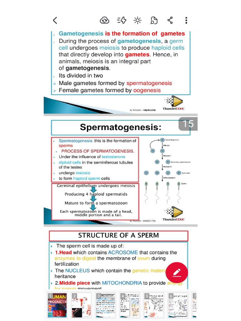 Life Sciences Grade 12 Menstrual Cycle | PDF