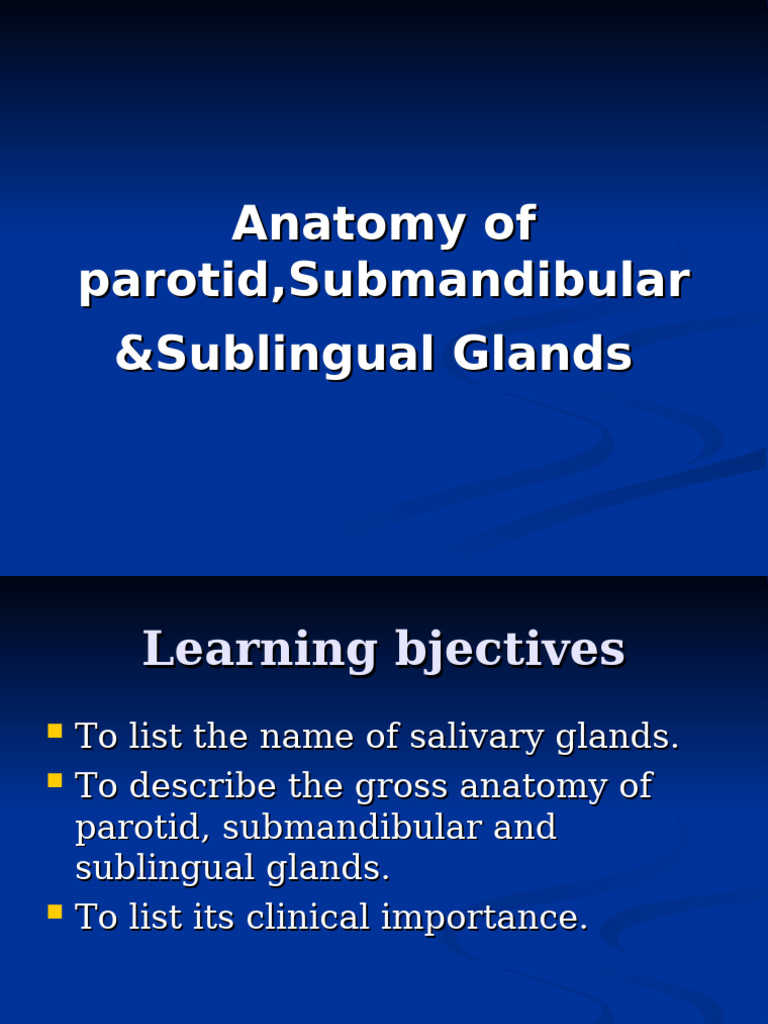 Anatomy of Salivary Glands Overview | PDF | Primate Anatomy | Animal ...