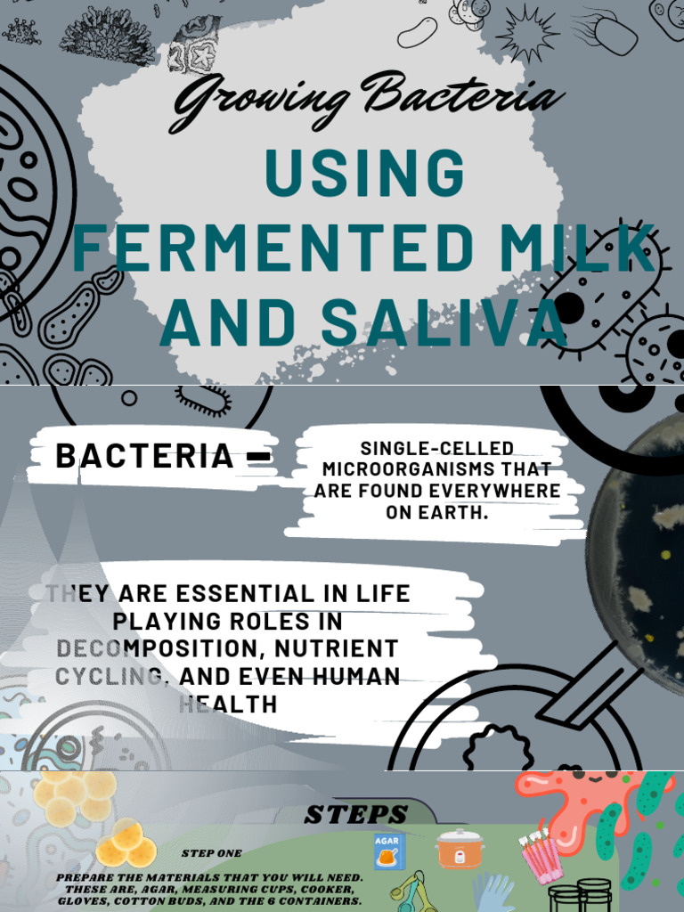 Groing Bacteria With Yakult and Saliva | PDF | Agar | Bacteria
