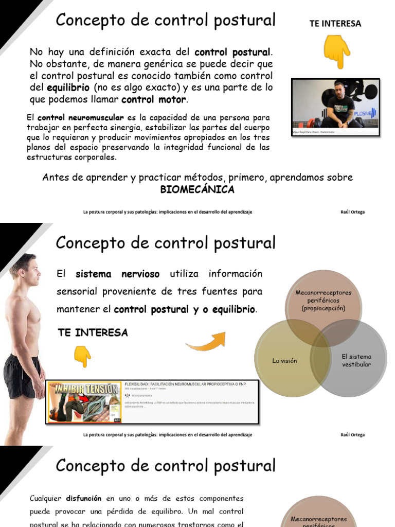 La postura | PDF | Pelvis | Aprendizaje