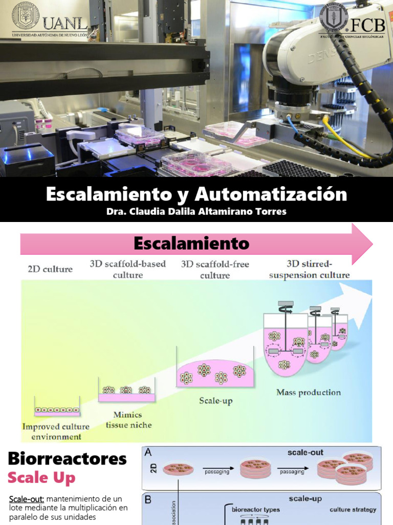5 Escalamiento y Automatización | PDF | Automatización | Biología