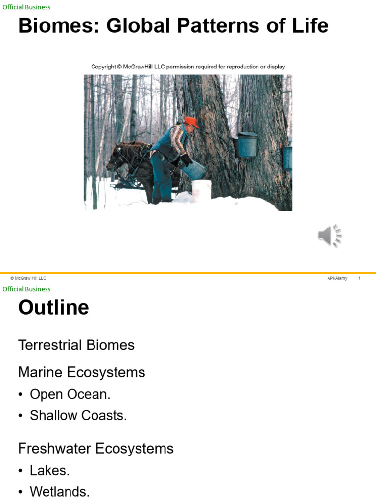 Biomes - Global Patterns of Life | PDF | Wetland | Forests