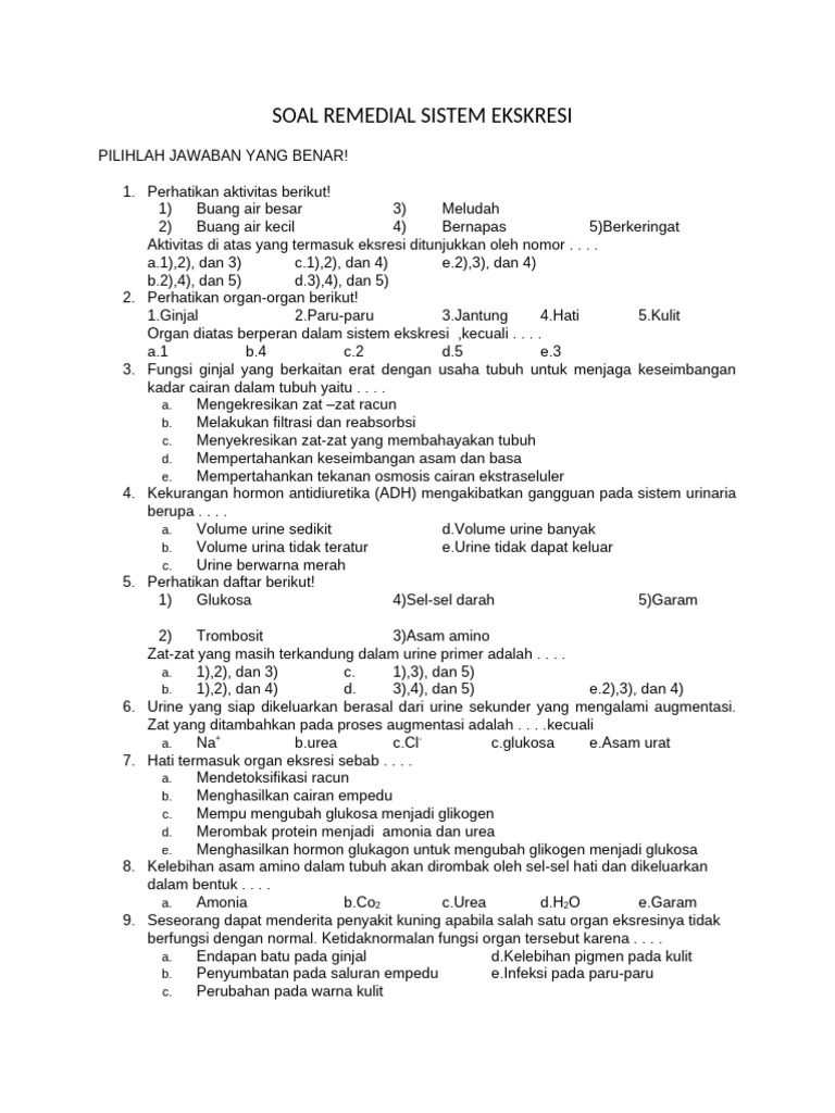 Soal Remedial Sistem Ekskresi | PDF