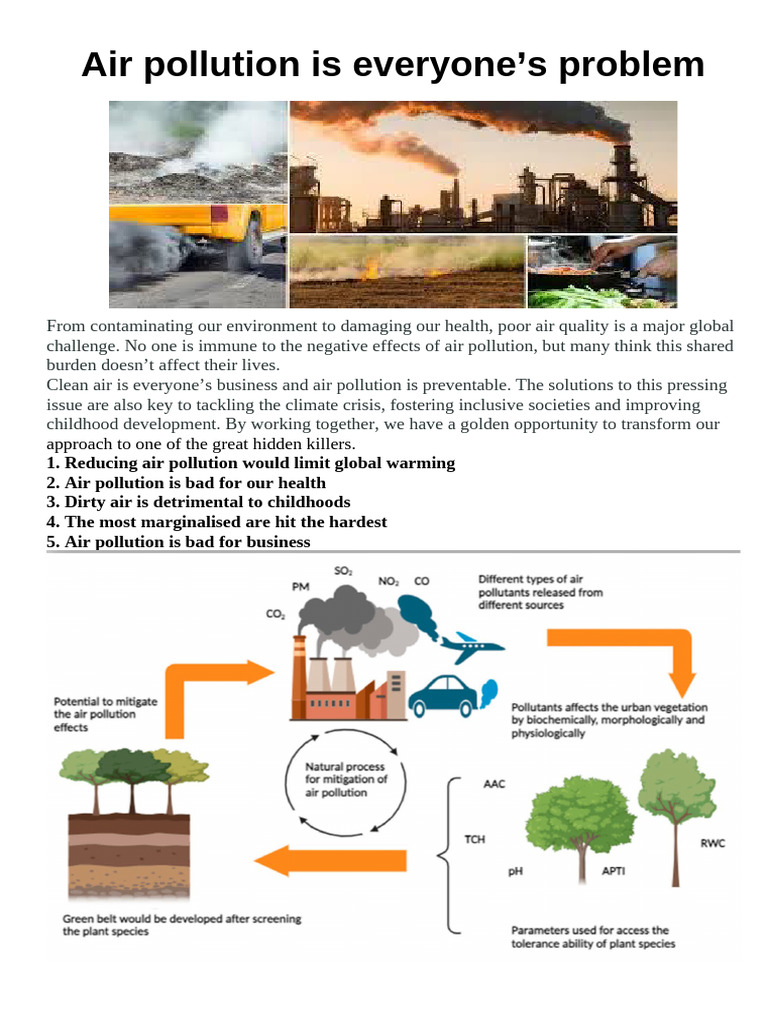 Air Pollution | PDF