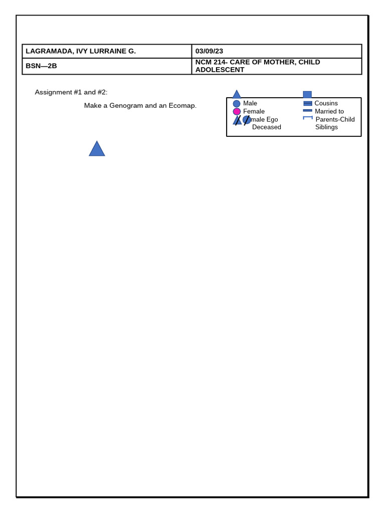 Assignment in MATERNAL | PDF | Family | Kinship And Descent