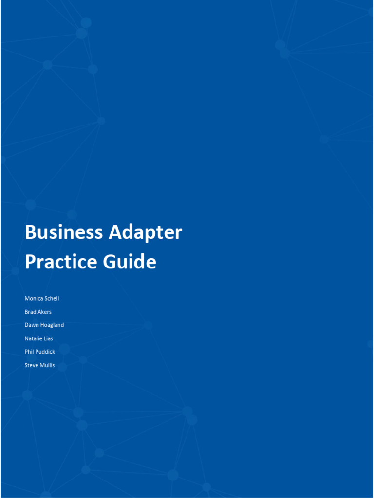 Business Adapter Practice Guide 2019 | PDF | Databases | Legal Remedy