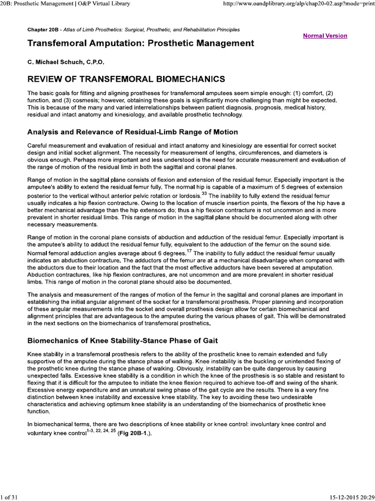 Transfem. Oandp | PDF