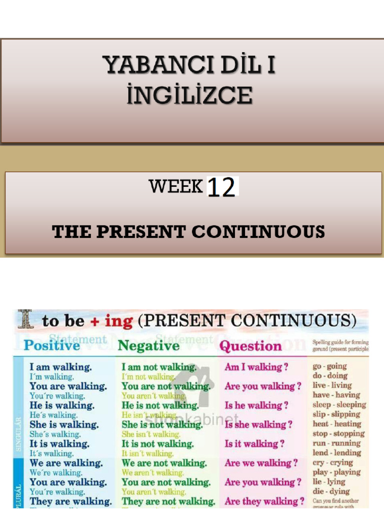 YDI Yabancı Dil I Ingilizce 12 Resim | PDF