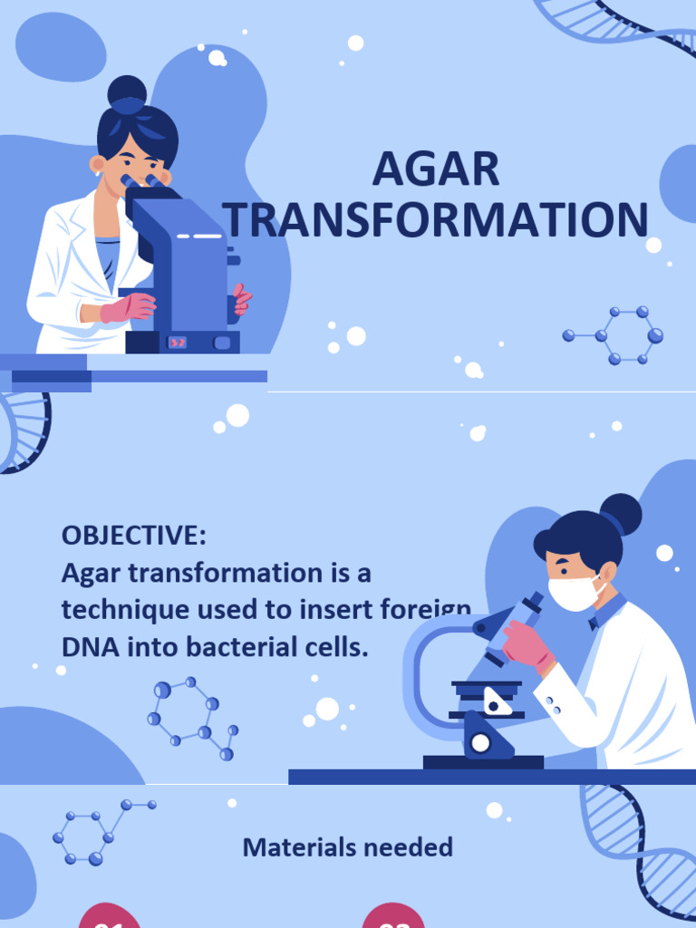 AGAR-TRANSFORMATION | PDF | Biochemistry | Chemistry
